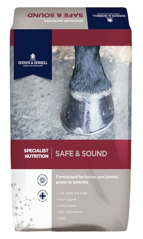 D & H Safe & Sound - Howsam's Mill